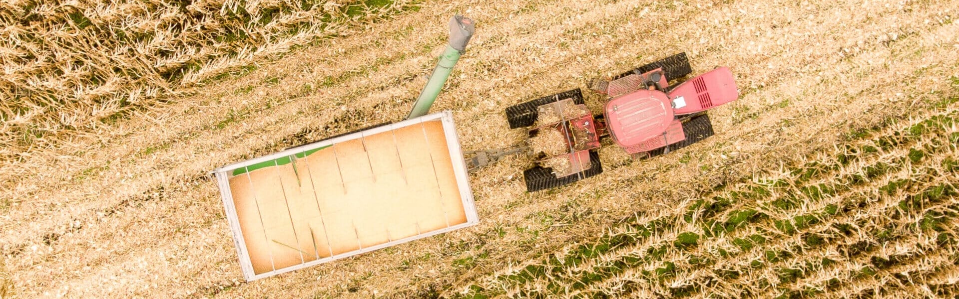 How is Agritech Improving Crop Yields And Reducing Waste in Agriculture ...